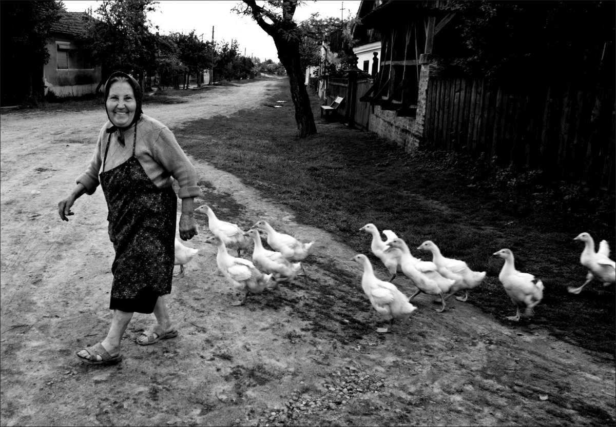 Photo exhibition about the Partium region