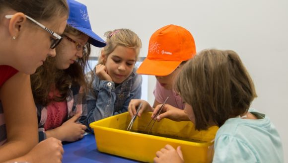 New Programmes at AGORA Science Centre