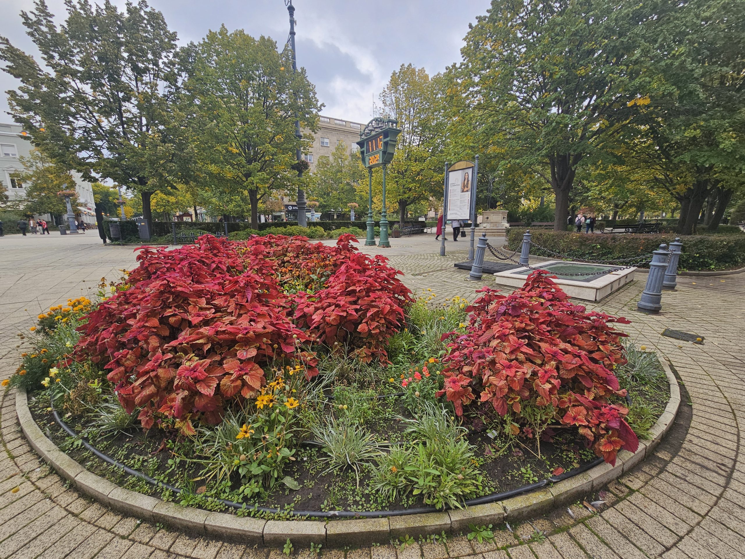 Mild but windy weather expected over the weekend