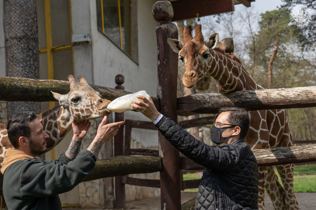 Debrecen Zoo and Amusement Park Commits to Green Car Fleet and Welcomes ...